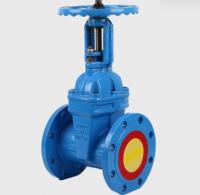 China Resilient Seated Gate Valve EPDM/NBR Seal DN50-DN600 Complete Sizes Industrial Gate Valve for sale