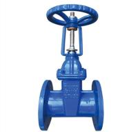 China Resilient Seated Gate Valve EPDM/NBR Seal DN50-DN600 Complete Sizes Industrial Gate Valve for sale