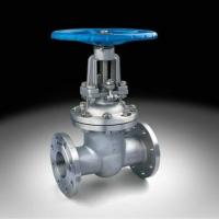 China Factory Price Manual Stainless Steel Gate Valve Flanged Connection Industrial Use Gate Valve for sale