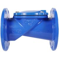 China Ductile Iron QT450 Swing Check Valve Flanged End Blue Epoxy Coated Non-return Valve for Water Supply for sale