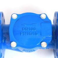 China Ductile Iron QT450 Swing Check Valve Flanged End Blue Epoxy Coated Non-return Valve for Water Supply for sale