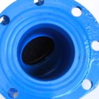 China Ductile Iron QT450 Swing Check Valve Flanged End Blue Epoxy Coated Non-return Valve for Water Supply for sale
