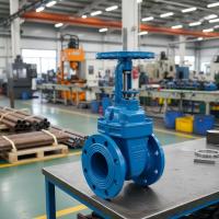 China Manual Rising Stem Resilient Seat Gate Valves  2in 20in  1 Year Warranty Applicable to Oil, Vapor, Water for sale