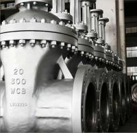 China 2in 24in Manual Industrial Gate Valve API Standard WCB Flange Class 150/300/600 for sale