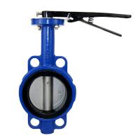 China 1in 12in Manual Handle Type Vertical Plate Ductile Iron Two Way Soft Seal Disc Butterfly Valves ISO 5211 Mounting Applicable for for sale