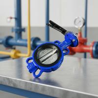 China 1in 12in Manual Handle Type Vertical Plate Ductile Iron Two Way Soft Seal Disc Butterfly Valves ISO 5211 Mounting Applicable for for sale