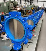 China Spheroidal Graphite Cast Iron Acid-resistant Handle Manual butterfly Valves , GB, ANSI, JIS, PTFE Inner Lining Valve Plate, for sale