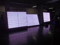 China High Brightness Outdoor Scrolling White LED Sign Waterproof 3906 dots / m2 for sale