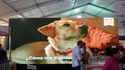 China Commercial Indoor Led Screens 16 x 32 For Displaying Advertising for sale