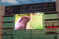 China Waterproof P8 outdoor Led Advertising Billboard , full color led panel board for sale