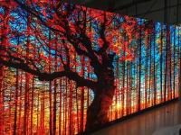 China p1.5 Small RGB HD indoor advertising screens with Aluminum alloy Material , 1,200Hz for sale