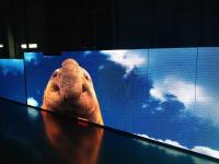 China Advertising Large Outdoor Led Display Full Color , 14bit Gray Led Screens for sale