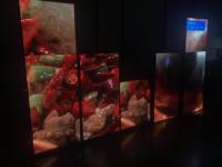 China SMD 2121 Full Color Led Video Wall P2.5 Copper Wire Kinglight Led Lamp For Rental for sale