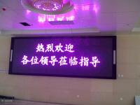 China Pure Purple P16 16mm 256 * 128mm Tri Color Led Text Message Display Modules For Advertising Media for sale