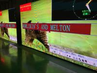 China indoor mobile rental led display board for stage background for sale