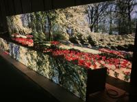 China High Brightness Screen Full Color P6 Indoor Led Video Display Screens for sale