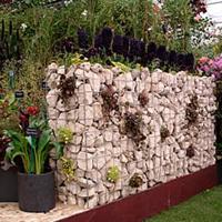 China Hot Dipped Gabion Wall Planter for sale