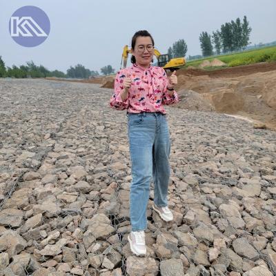 China Wire Mesh Basket Gabion 2mx1mx1m For Flexible And Durable Riverbank Protection And Aesthetic Appeal for sale