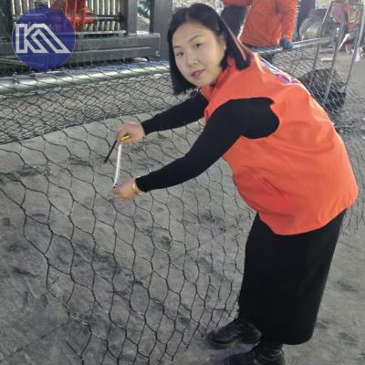 China Customizable Hexagonal Gabion Walls For Sale 6mx1mx1m Eco Friendly For Urban Park Slope And Garden Design for sale
