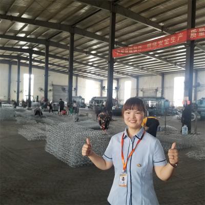 China 100mm X 120mm Mesh Size Gabion Mesh And Durable With 1.5 Kg/Sqaure Meter Wire Diameter Of 3.0mm for sale