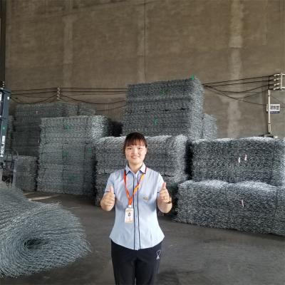 China Stainless Steel Woven Gabion Wire Mesh B0x Hydraulic Engineering Rockfall Barrier Rustproof for sale