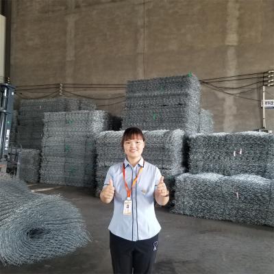 China 80mm X 100mm Mesh Size Gabion Wire Mesh Durable And 20-30 Years Lifespan For Road Construction for sale