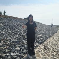 China High-Strength Gabion Mattresses with Corrosion Resistance and Hexagonal Hole Shape for River Revetment for sale