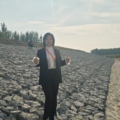 China KN Heavy Zinc 2*1*1 Stone Gabion Cages for Reinforced Earth Revetments Project for sale