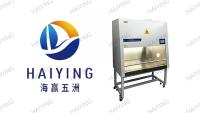 China Chemical Laboratories Class II A2 Biosafety Cabinets for sale