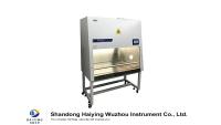 China Class II A2 Biosafety Cabinet 10 Degree Physiological Slope for sale