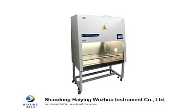 China Class II A2 Biosafety Cabinet 10 Degree Physiological Slope for sale