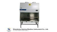 China Class II A2 Biosafety Cabinet 10 Degree Physiological Slope for sale