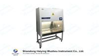 China B2 BSC Biological Safety Cabinet Ergonomic SS worktable for sale