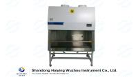 China B2 BSC Biological Safety Cabinet Ergonomic SS worktable for sale