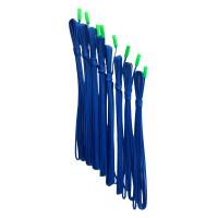 China 10m Blue Wire Black Cap Remote Control Ignition Head Electric Match CE Certified Instant Ignition 20s Response for sale