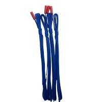 China FTB-T Blue Wire Red Cap Electric Match Igniter CE Certified Remote Control 3m for sale