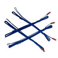 China TOP FTB-T 1 Meter Blue Wire Red Cap Igniter CE Approved Instant Ignition Waterproof High Quality Remote Control Fireworks for sale