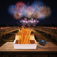 China TOP FTB-T 1m Stage Fireworks Igniter Remote Controlled CE Certified Orange Easy to Use for Grand Professional Shows for sale