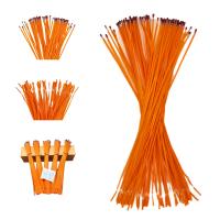China 30cm Stage Fireworks Igniter Remote Control Fast Ignition Battery CE for Grand Displays for sale