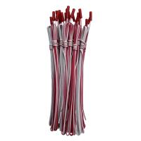 China 30cm High Quality Red White Wire Red Cap E Match for Large Scale Fireworks Show for sale