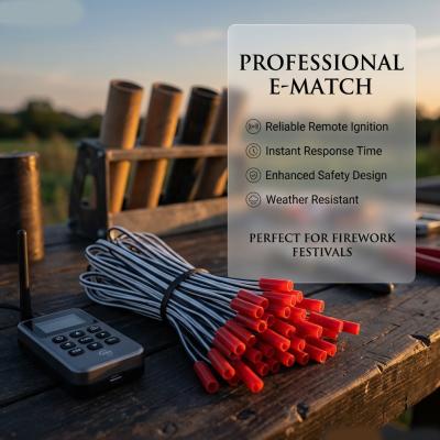 China 30cm High Quality Remote Control Electric Match Spark Effect Fireworks Shows-CE Certified Large Scale for Christmas Chinese New for sale