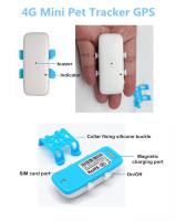 China OEM Pet & Livestock GPS Tracker | 4G Animal Activity Monitoring Device for Pet Brands & Farm Deployment for sale