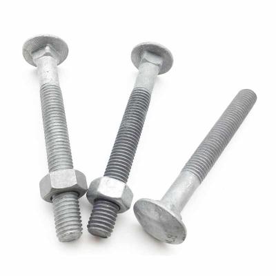 China Hot Dipped Galvanised Carriage Bolt M10 x 100mm Square Neck Coach Bolt with Nut for sale