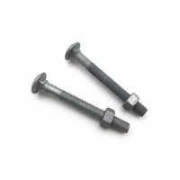 China Hot Dipped Galvanised Carriage Bolt M10 x 100mm Square Neck Coach Bolt with Nut for sale