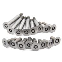 China Stainless Steel Tamper Proof Security Screws Nuts Bolts M4 M6 M8 M10 304 Grade 8.8 for sale