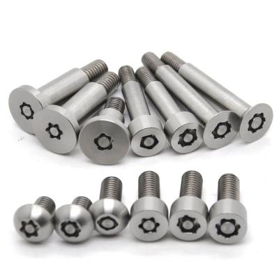 China Stainless Steel Tamper Proof Security Screws Nuts Bolts M4 M6 M8 M10 304 Grade 8.8 for sale