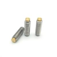 China M3-M16 304 Stainless Steel Brass Tip Set Screws 3-55mm Length with ISO GB Certification for sale