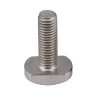 China M10 304 Stainless Steel T-Slot Bolts 20-60mm Length with 25mm Head Diameter for Industrial Applications for sale