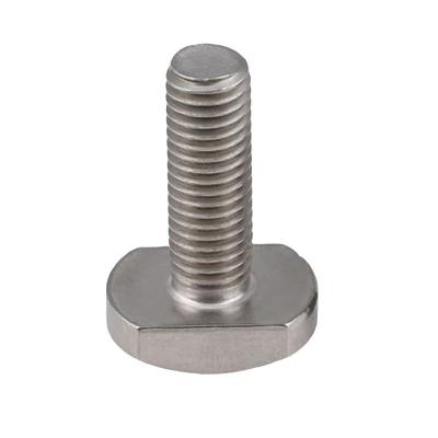 China M10 304 Stainless Steel T-Slot Bolts 20-60mm Length with 25mm Head Diameter for Industrial Applications for sale