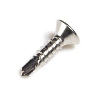 China 304 Stainless Steel Self-Tapping Screws with Phillips Drive - M3.5 to M6.3 Sizes, 13-75mm Length for Construction for sale